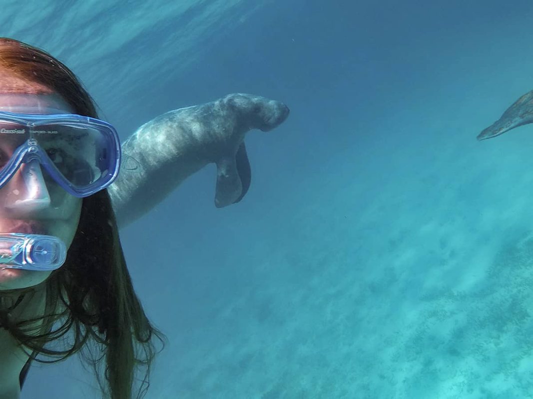 Swim With Manatees In Belize: BEST Tips [2026]
