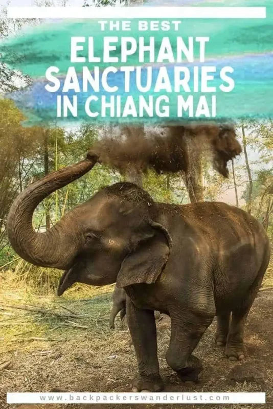 The 6 BEST Ethical Elephant Sanctuaries In Chiang Mai