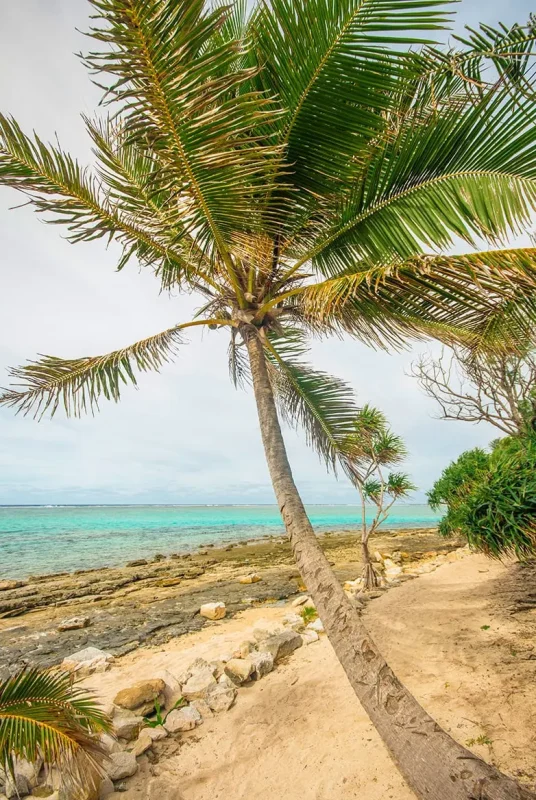 The Best Things To Do On Mystery Island in Vanuatu